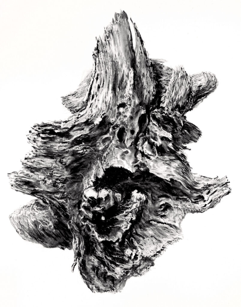Jon M Swenson – the Art and Life of:
